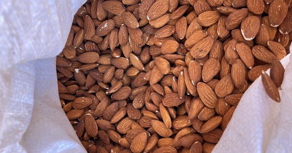 Badem ici-gundogdu Kayısı ve kuruyemış